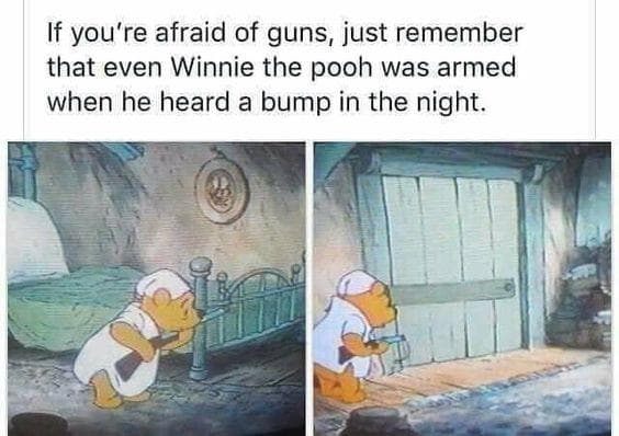 The 20 Funniest Winnie The Pooh Memes, Ranked