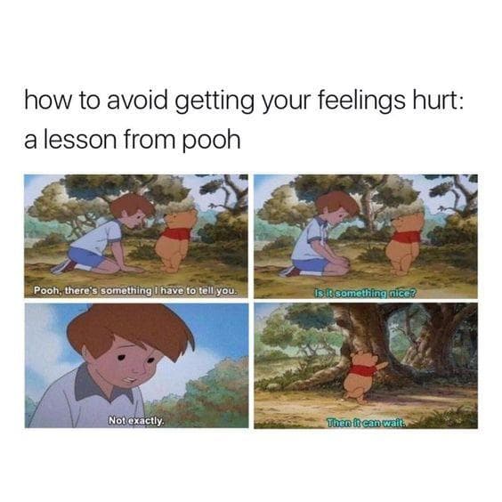 The 20 Funniest Winnie The Pooh Memes, Ranked