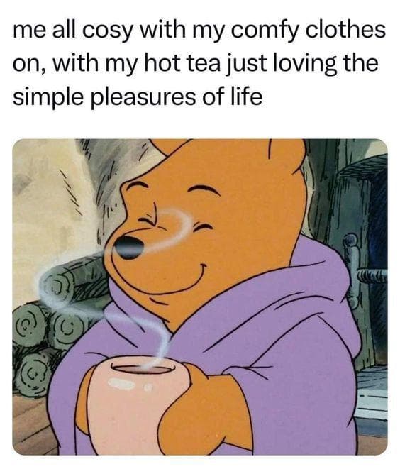 The 20 Funniest Winnie The Pooh Memes, Ranked