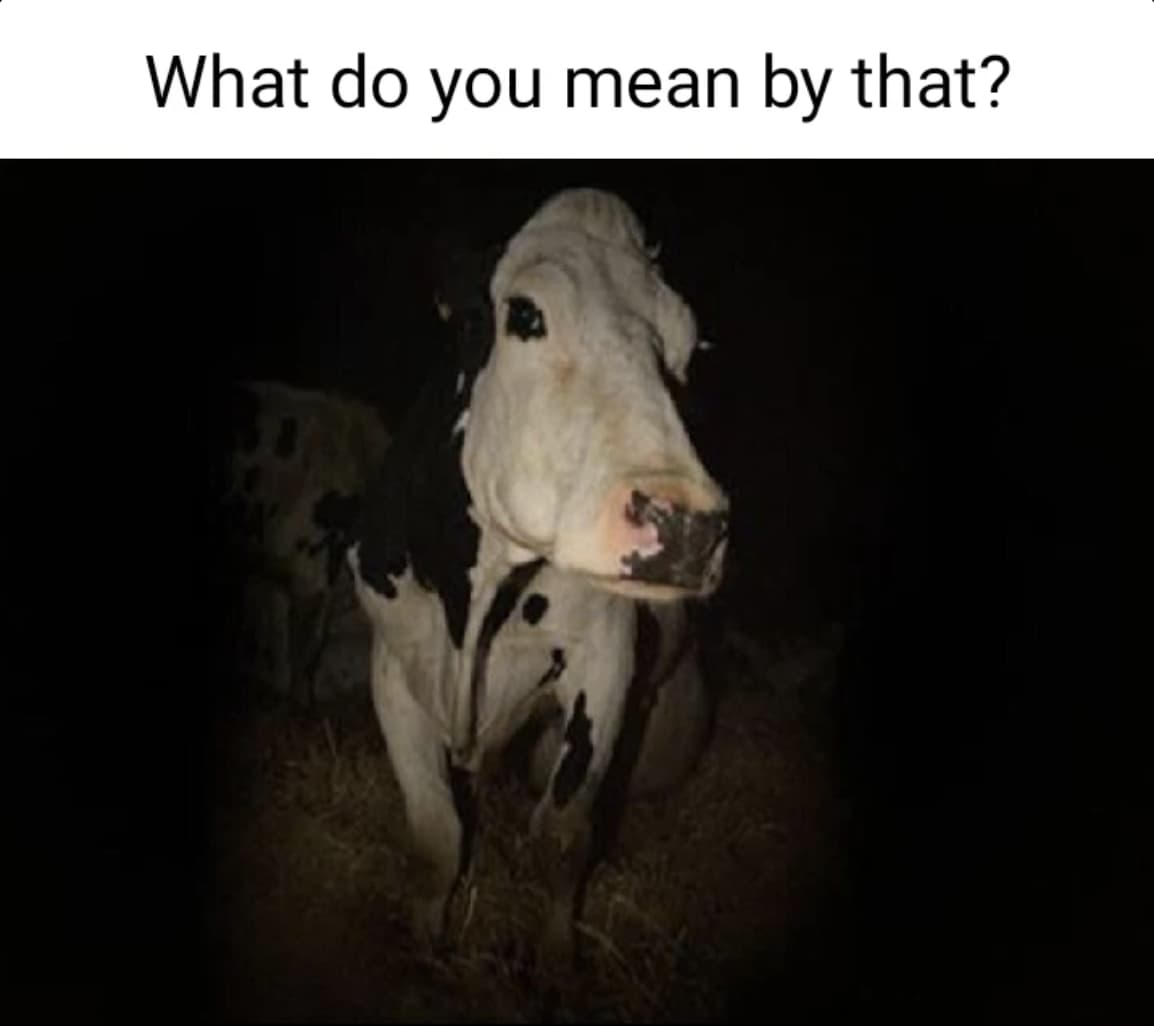 The 13 Funniest Druski Memes, Ranked