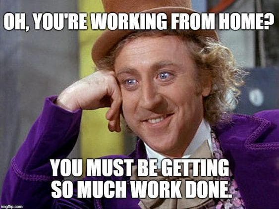 The 15 Funniest Willy Wonka Memes, Ranked