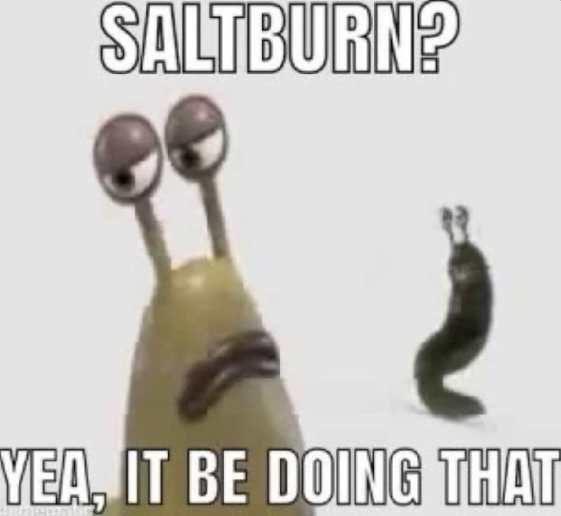 The 11 Funniest 'Saltburn' Memes, Ranked
