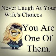 The 20 Funniest Minions Memes, Ranked