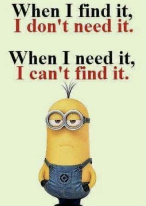 The 20 Funniest Minions Memes, Ranked