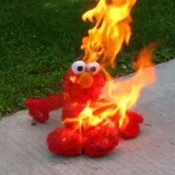 The 19 Funniest Elmo Memes, Ranked