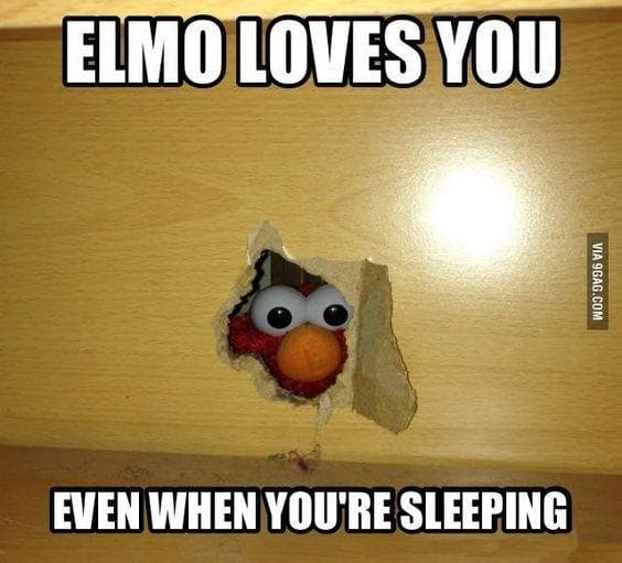 The 19 Funniest Elmo Memes, Ranked