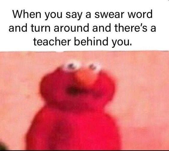The 19 Funniest Elmo Memes, Ranked