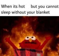 The 19 Funniest Elmo Memes, Ranked
