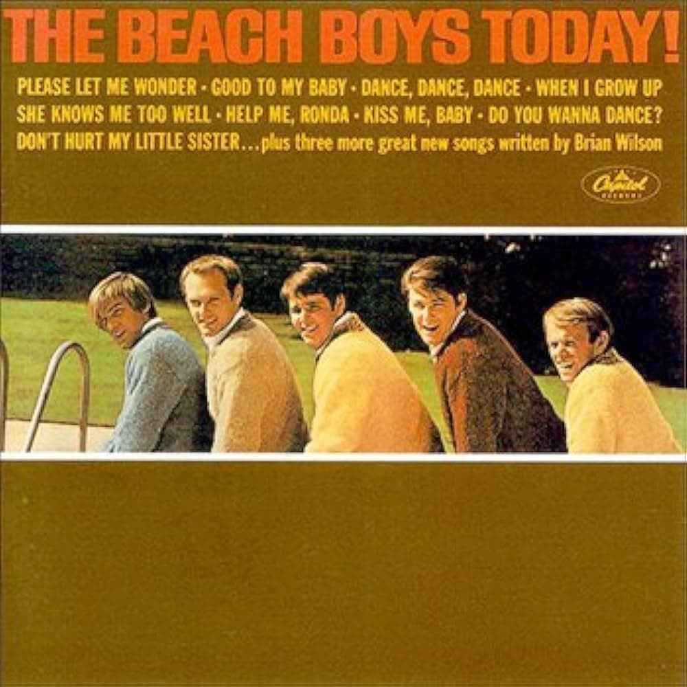 The 18 Best Beach Boys Albums, Ranked By Fans