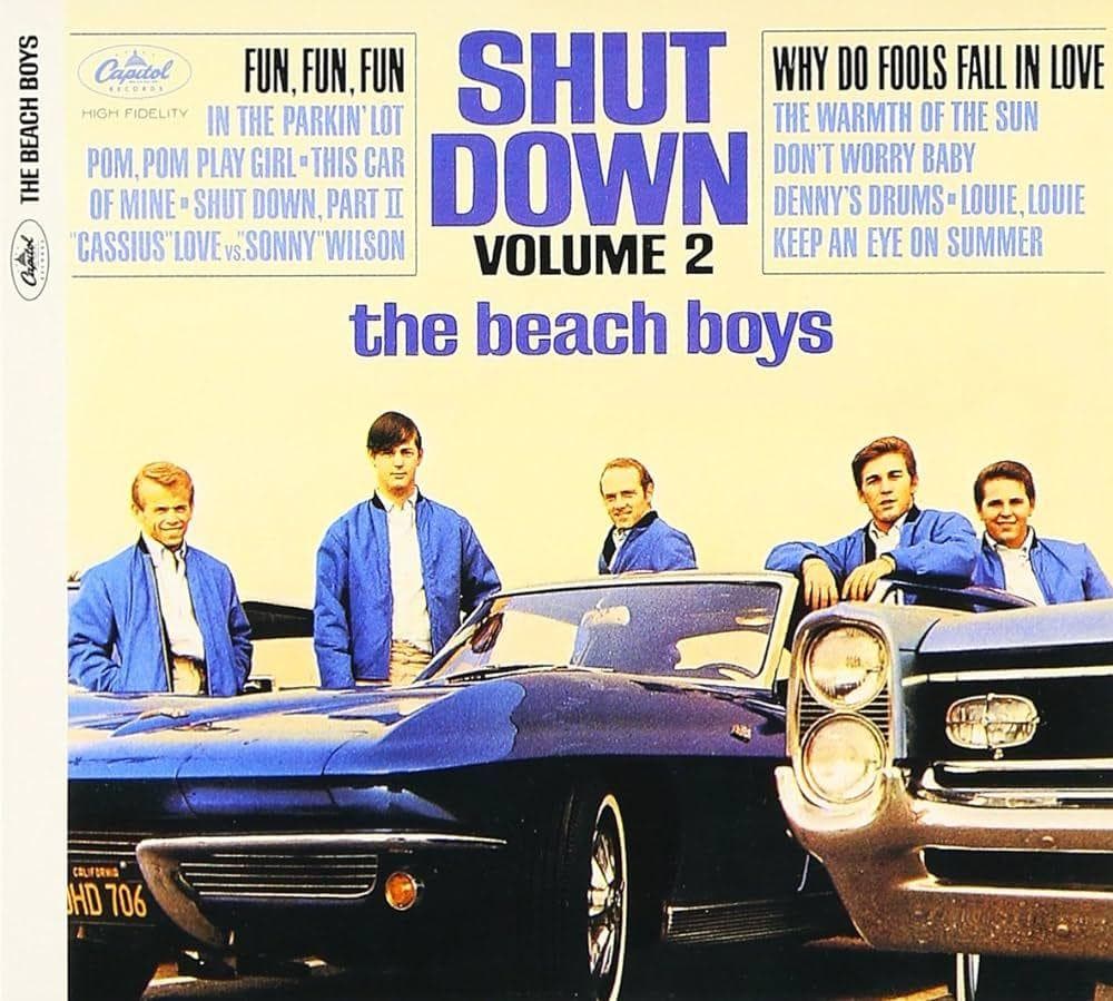 The 18 Best Beach Boys Albums, Ranked By Fans