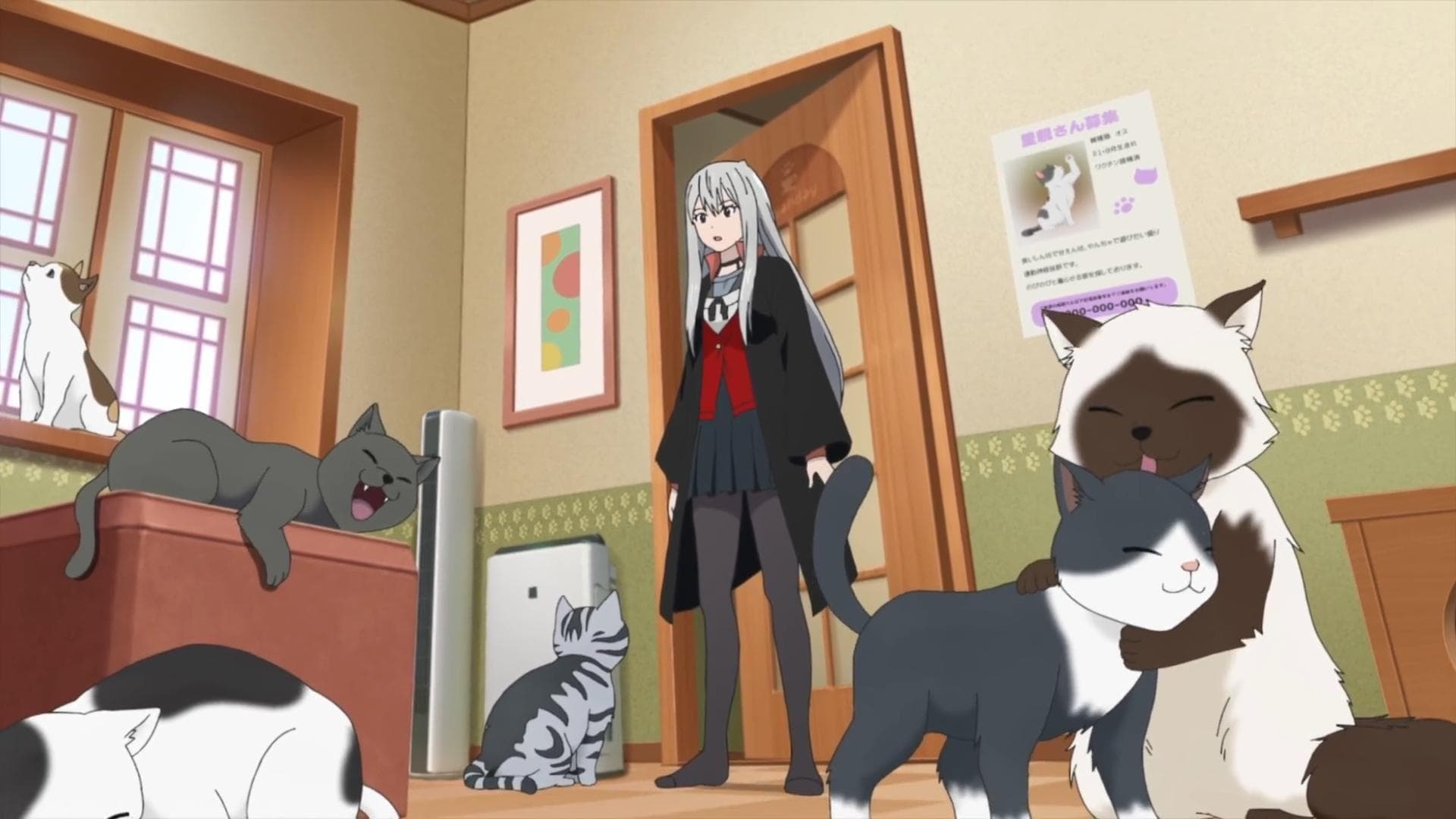 The 13 Best Anime For Cat Lovers, Ranked By Fans