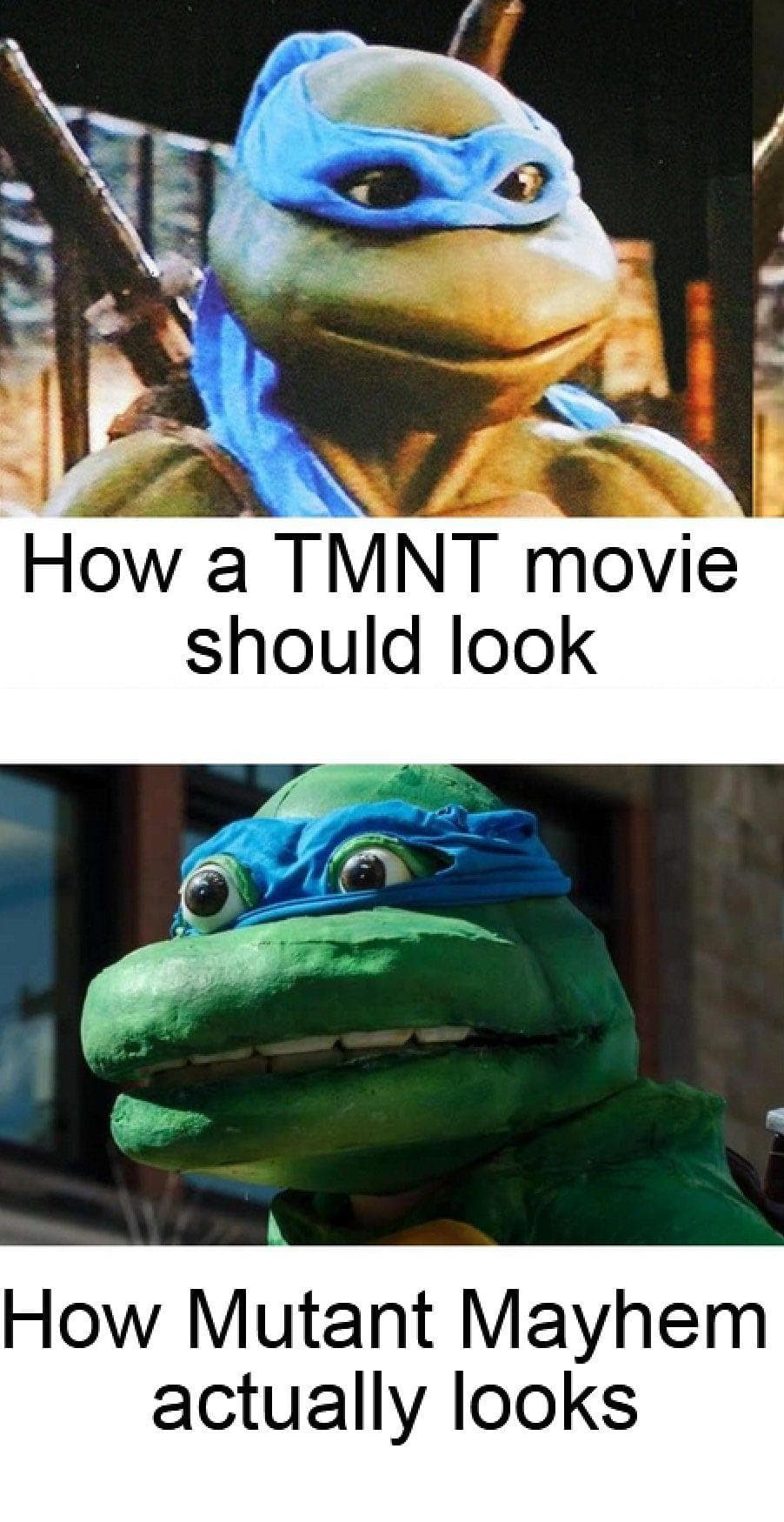 The 24 Funniest 'Teenage Mutant Ninja Turtles' Memes, Ranked