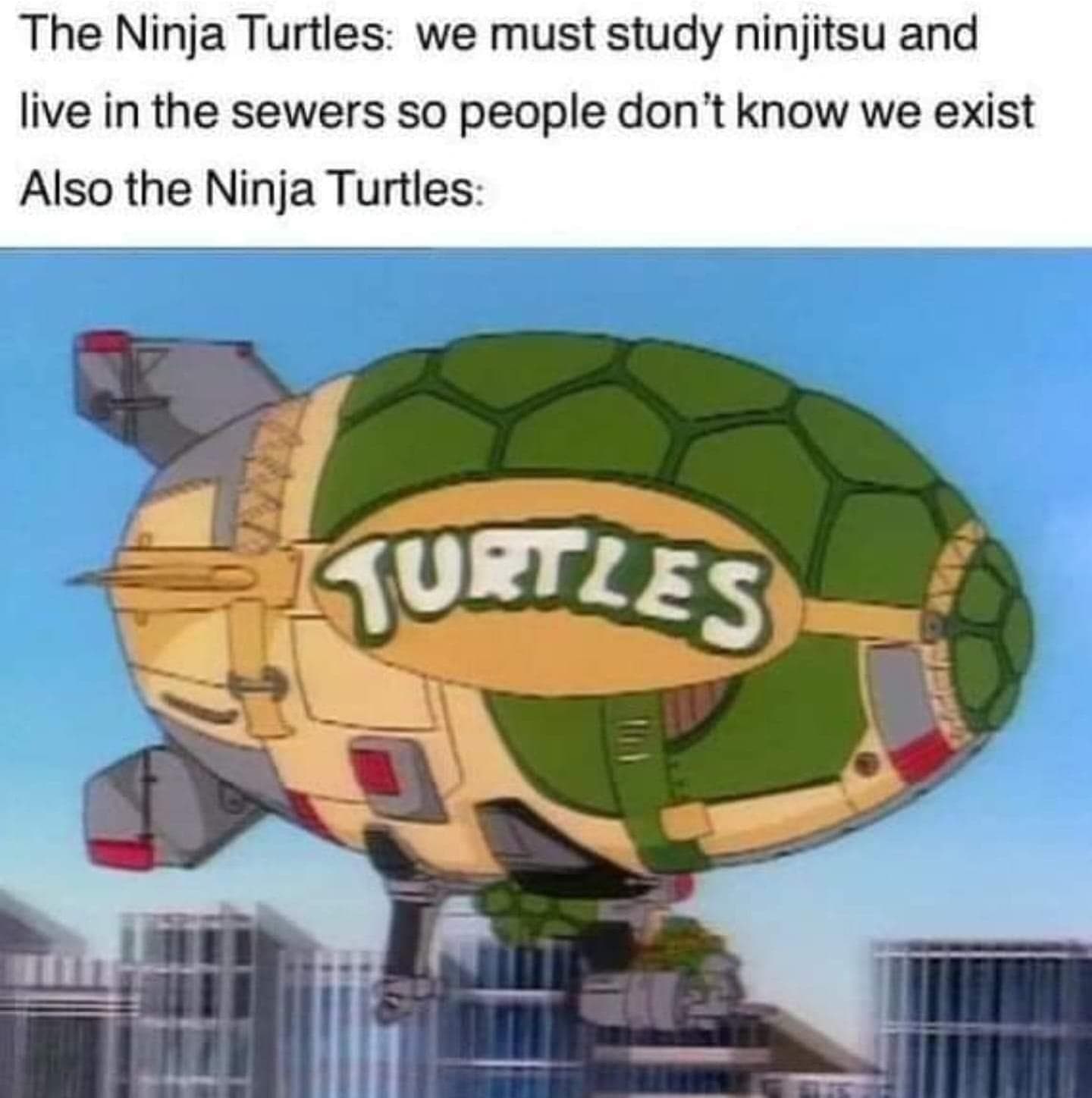 The 24 Funniest 'Teenage Mutant Ninja Turtles' Memes, Ranked