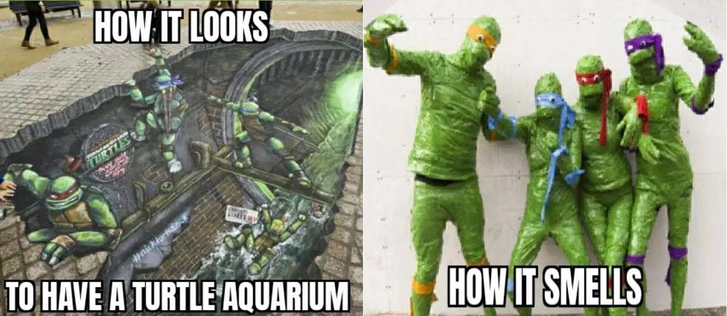 The 24 Funniest 'Teenage Mutant Ninja Turtles' Memes, Ranked