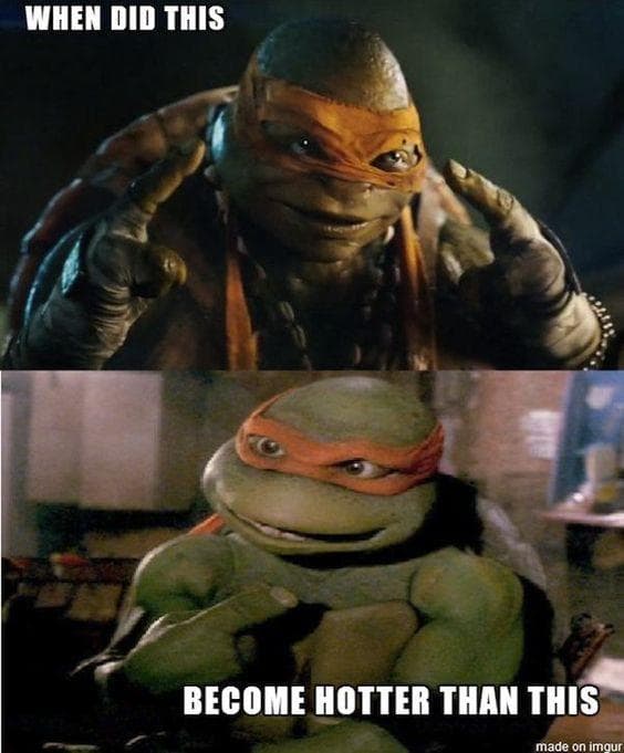 The 24 Funniest 'Teenage Mutant Ninja Turtles' Memes, Ranked