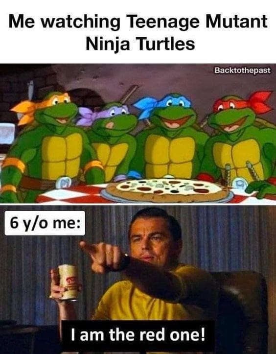 The 24 Funniest 'Teenage Mutant Ninja Turtles' Memes, Ranked