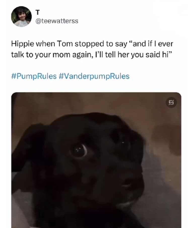 The 20 Funniest 'Vanderpump Rules' Memes, Ranked
