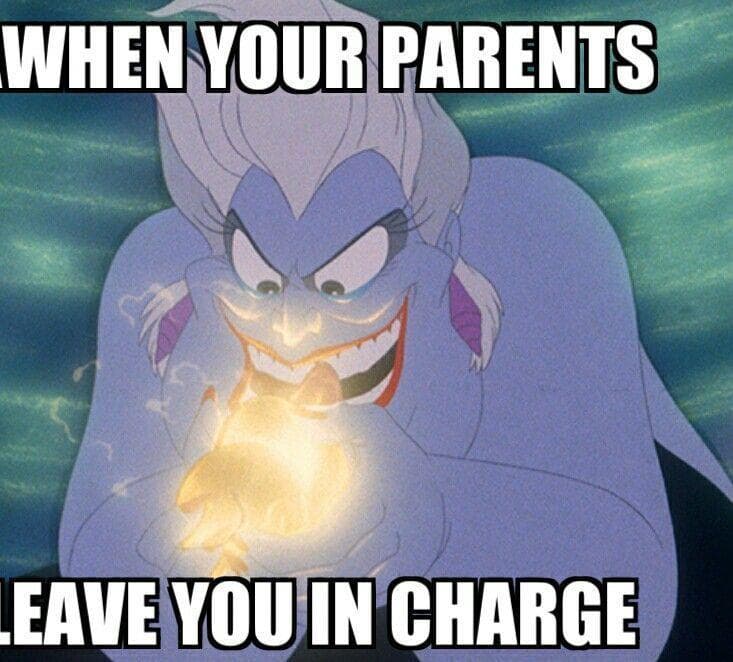 The 15 Funniest 'Little Mermaid' Memes, Ranked