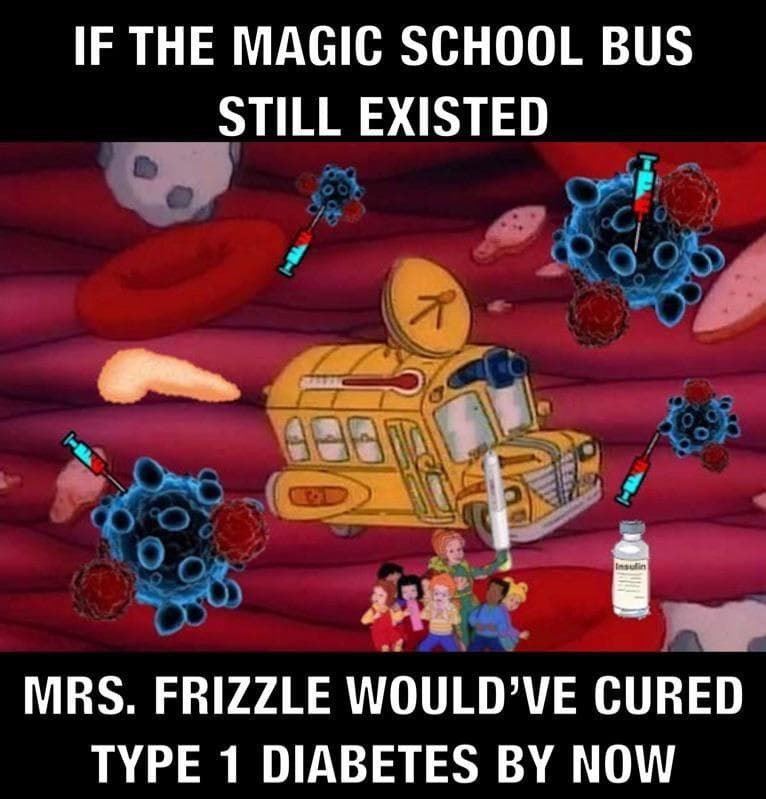 The 25 Funniest 'Magic School Bus' Memes, Ranked