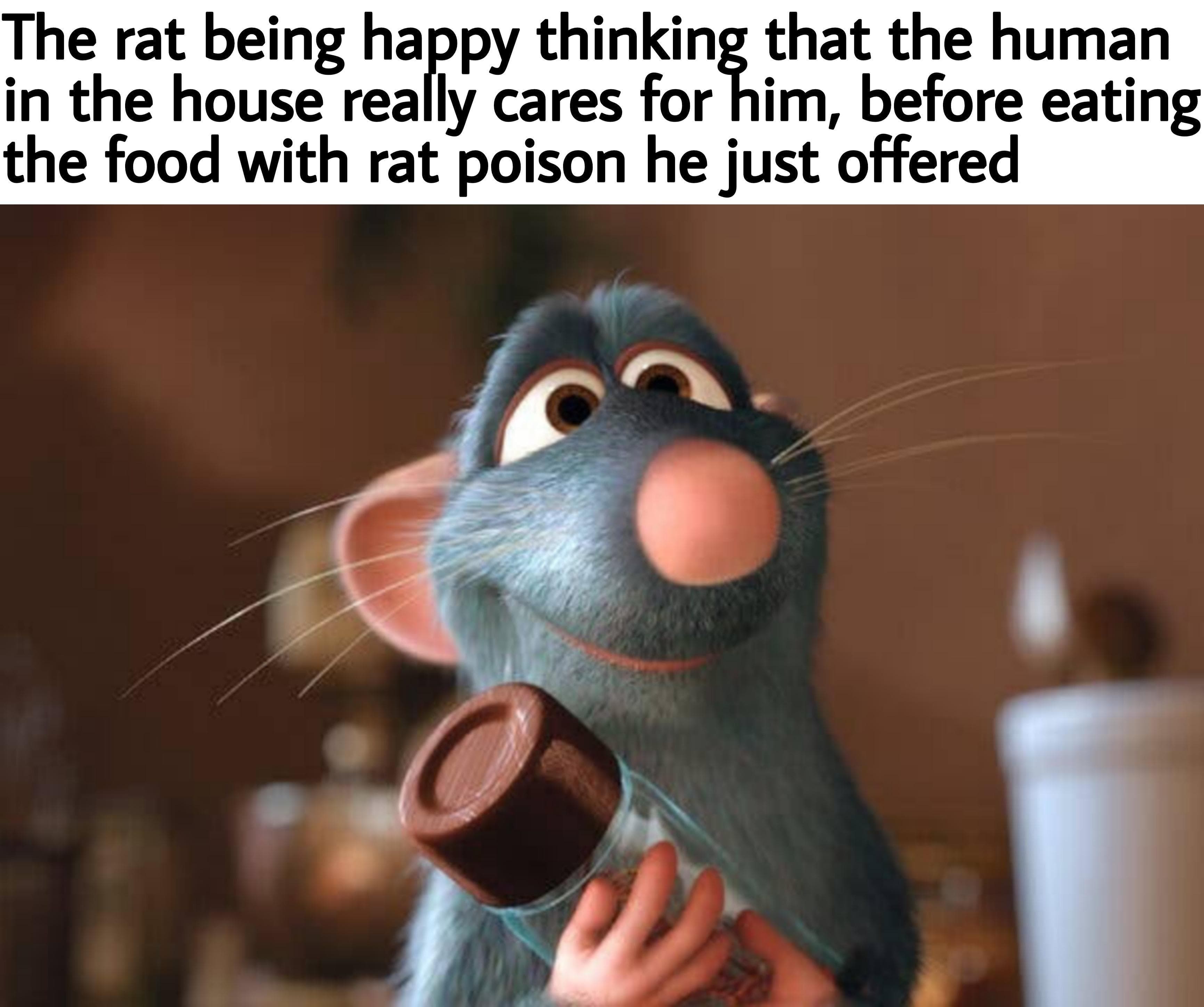 The 16 Funniest 'Ratatouille' Memes, Ranked