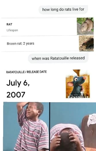 The 16 Funniest 'Ratatouille' Memes, Ranked
