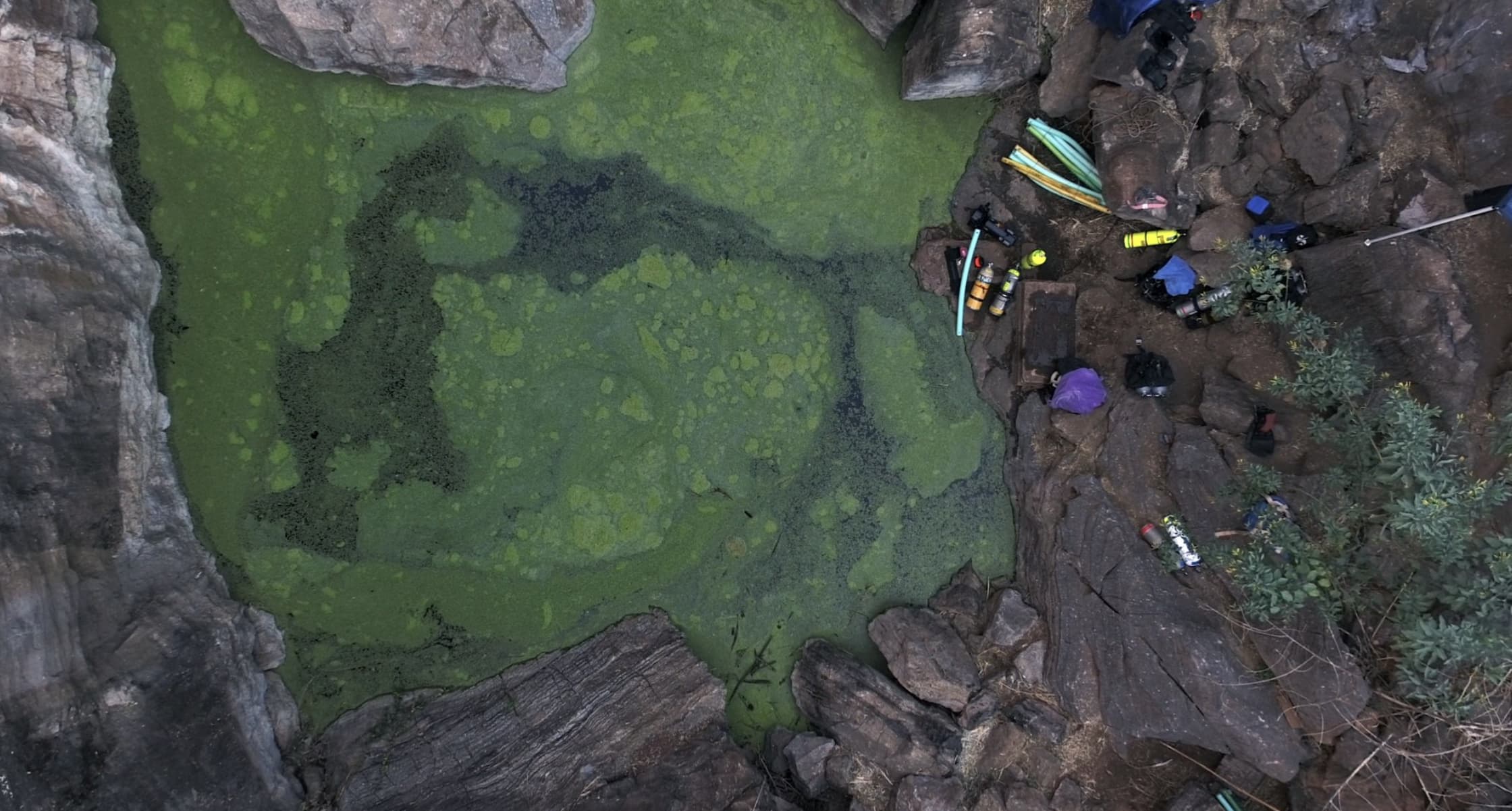 The 11 Best Survival Documentaries, Ranked