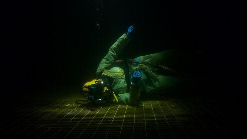 The 11 Best Survival Documentaries, Ranked