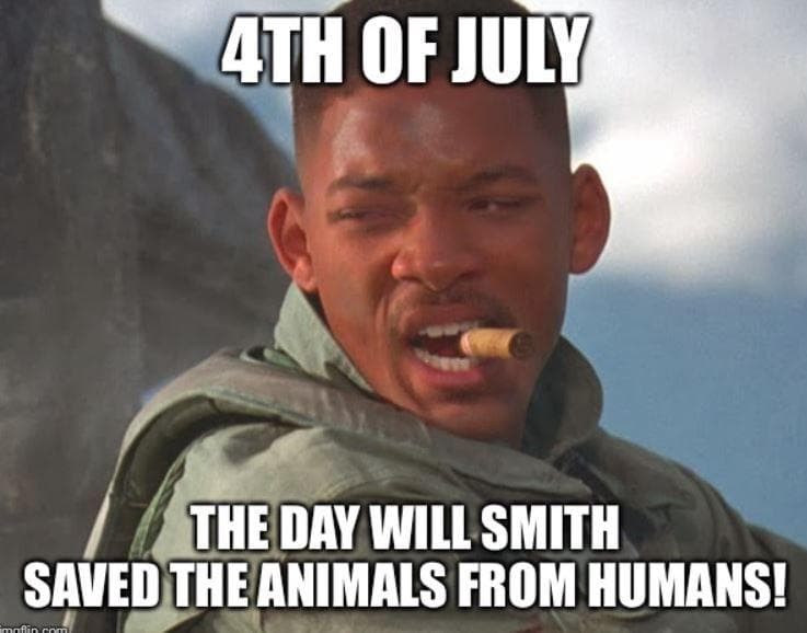 The 22 Funniest Will Smith Memes, Ranked