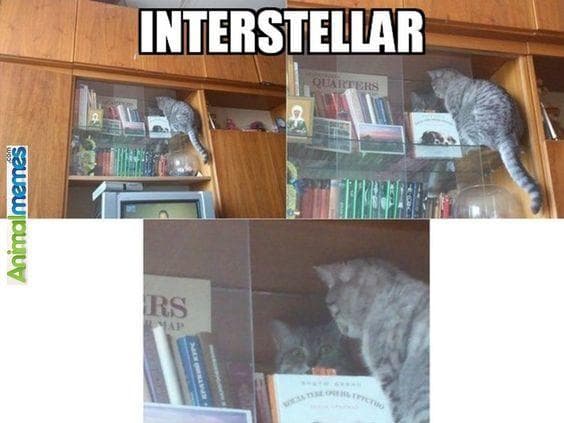 The 26 Funniest 'Interstellar' Memes, Ranked