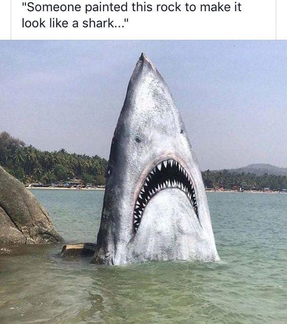 The 28 Funniest Shark Memes, Ranked