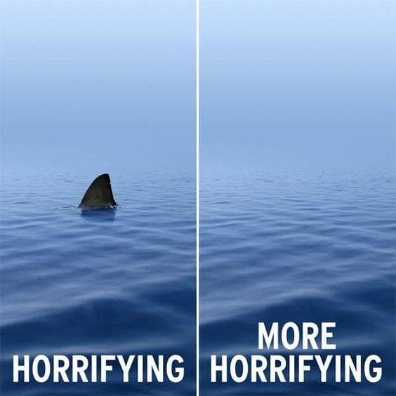 The 28 Funniest Shark Memes, Ranked