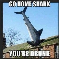 The 28 Funniest Shark Memes, Ranked