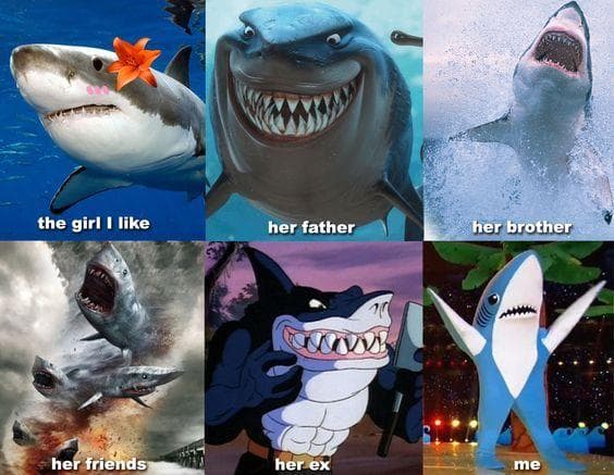 The 28 Funniest Shark Memes, Ranked
