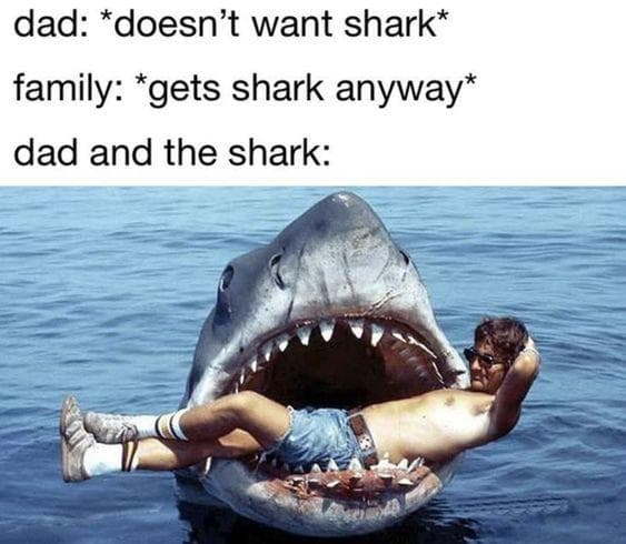The 28 Funniest Shark Memes, Ranked
