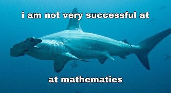 The 28 Funniest Shark Memes, Ranked
