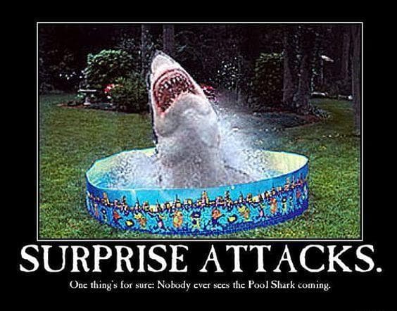 The 28 Funniest Shark Memes, Ranked