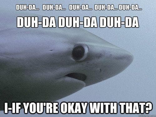 The 28 Funniest Shark Memes, Ranked