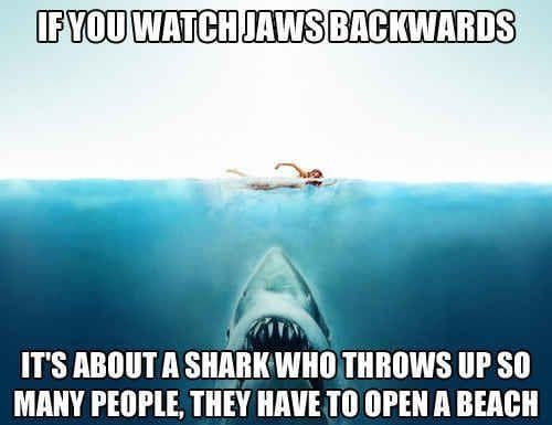 The 28 Funniest Shark Memes, Ranked