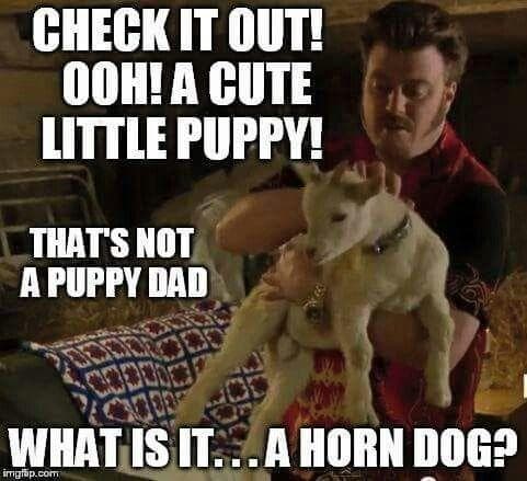 The 24 Funniest 'Trailer Park Boys' Memes, Ranked