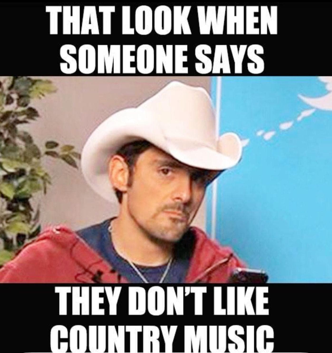The 25 Funniest Country Music Memes, Ranked