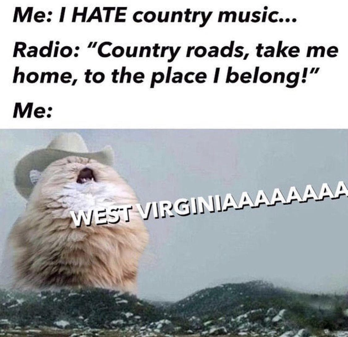 The 25 Funniest Country Music Memes, Ranked
