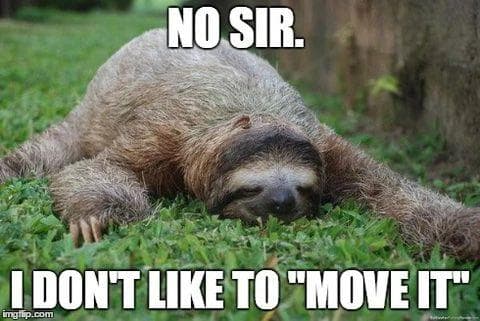 The 25 Funniest Sloth Memes, Ranked