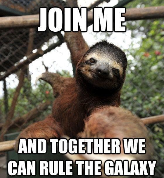 The 25 Funniest Sloth Memes, Ranked