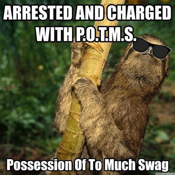 The 25 Funniest Sloth Memes, Ranked