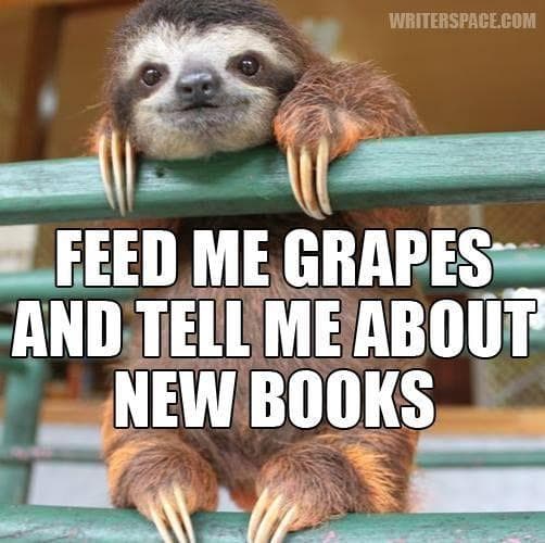 The 25 Funniest Sloth Memes, Ranked