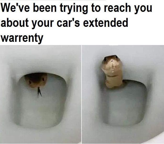 The 29 Funniest Snake Memes, Ranked