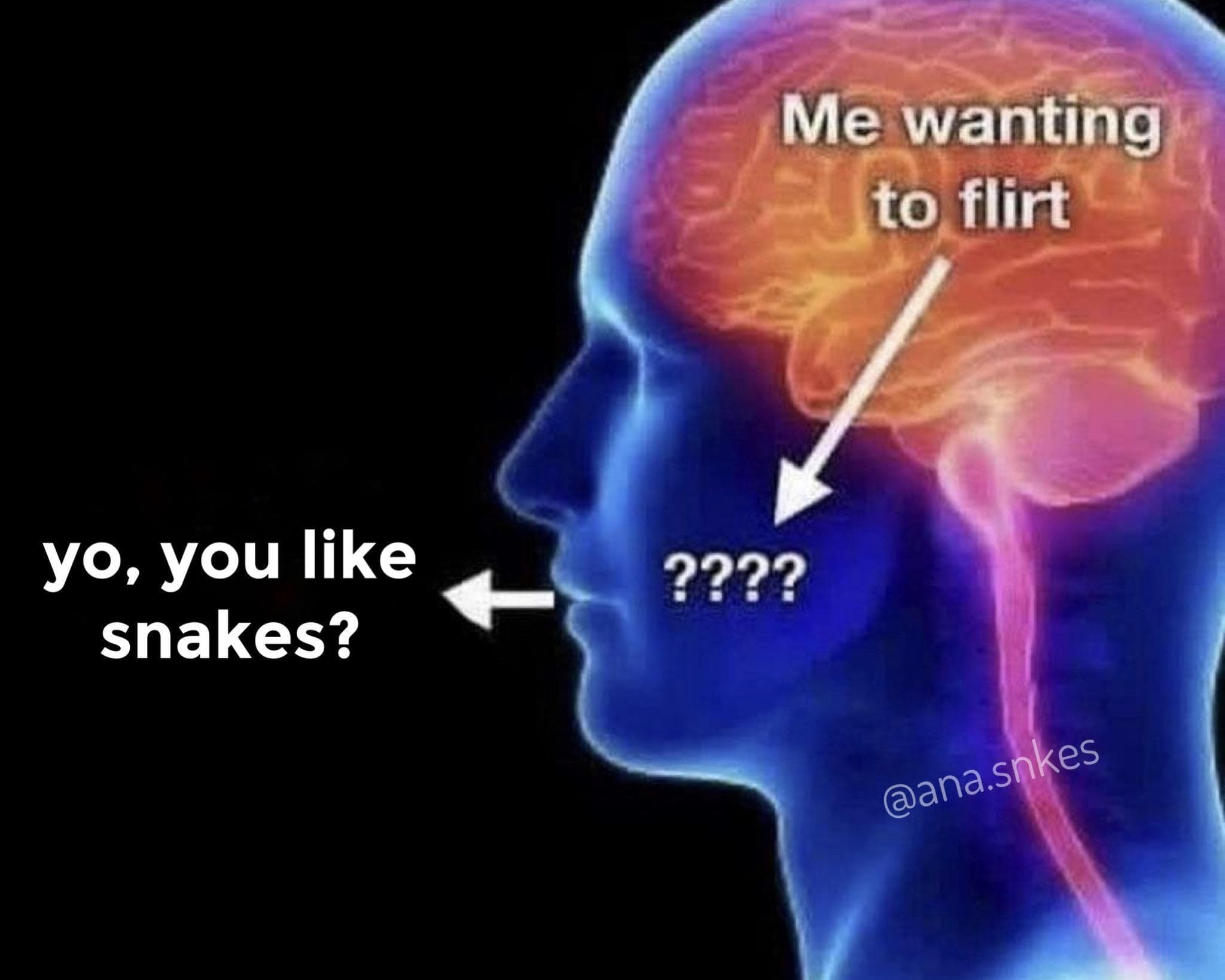 The 29 Funniest Snake Memes, Ranked