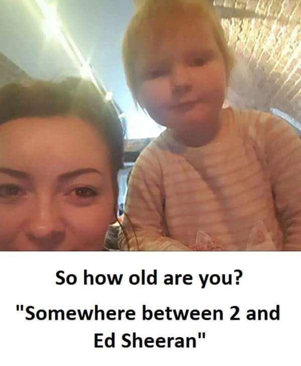 The 24 Funniest Ed Sheeran Memes, Ranked