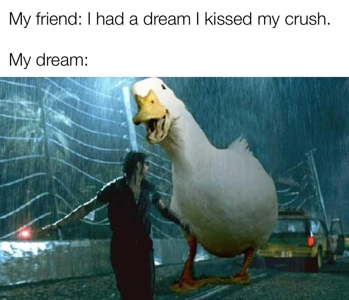 The 25 Funniest Duck Memes, Ranked