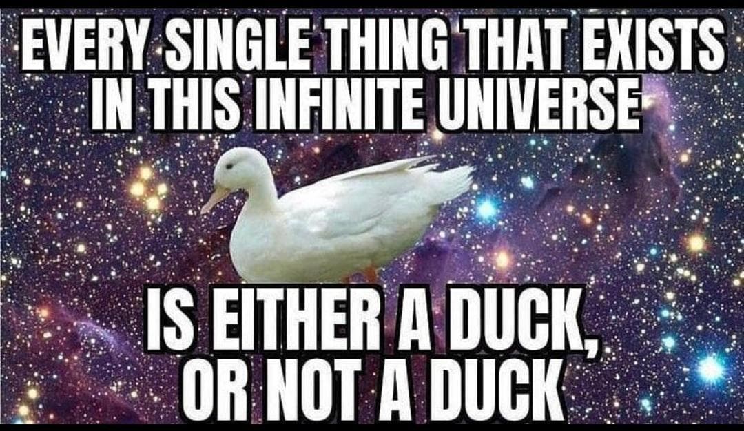 The 25 Funniest Duck Memes, Ranked